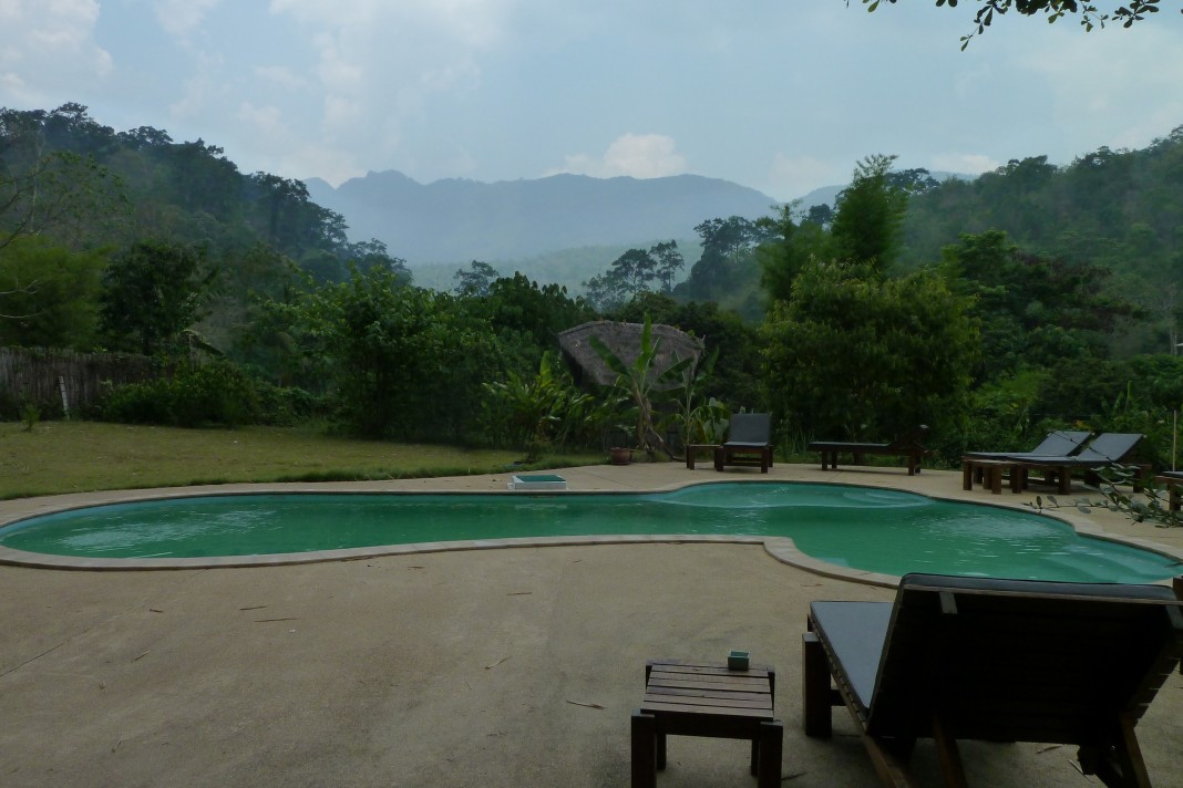 Mae Salong Loop
