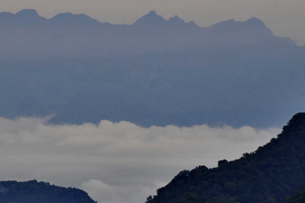 Mae Salong Loop