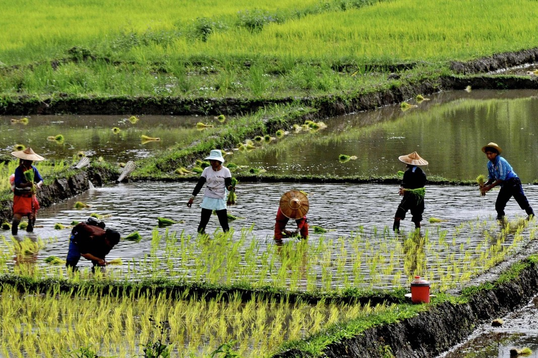 How to get to Wiang Haeng | Travelfish