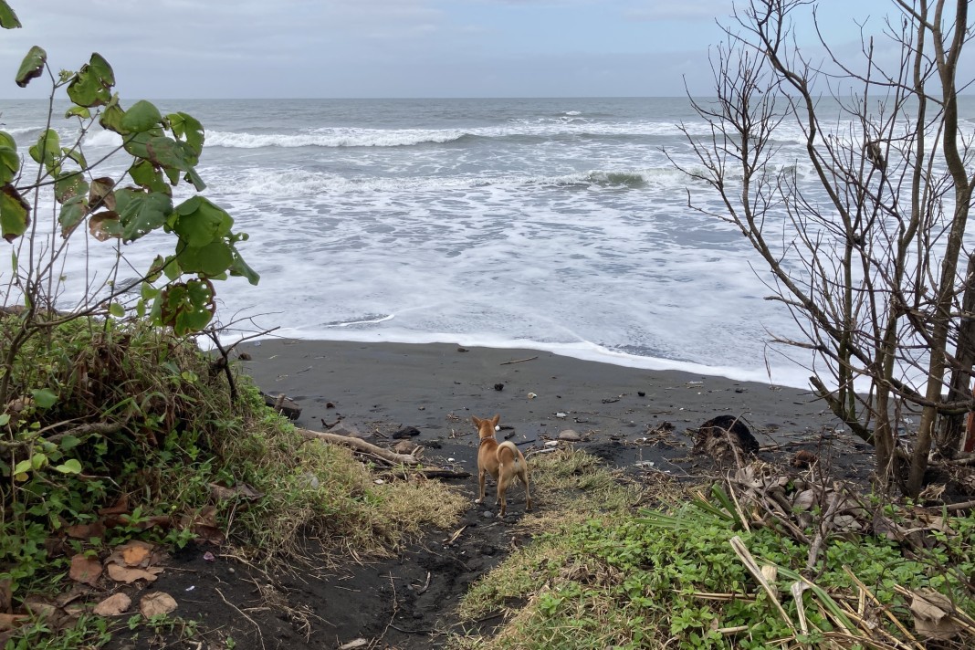 Travelfish #520: The Printer On The Beach Edition