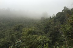 Phongsali travel guide (Updated 2018) Travelfish.org